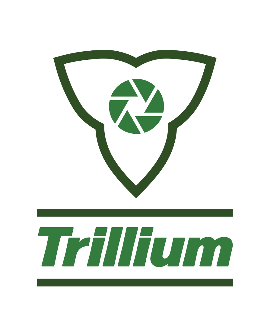 Logotipo De Desenvolvimento Trillium Trillium